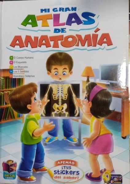 Atlas de anatomía - A3